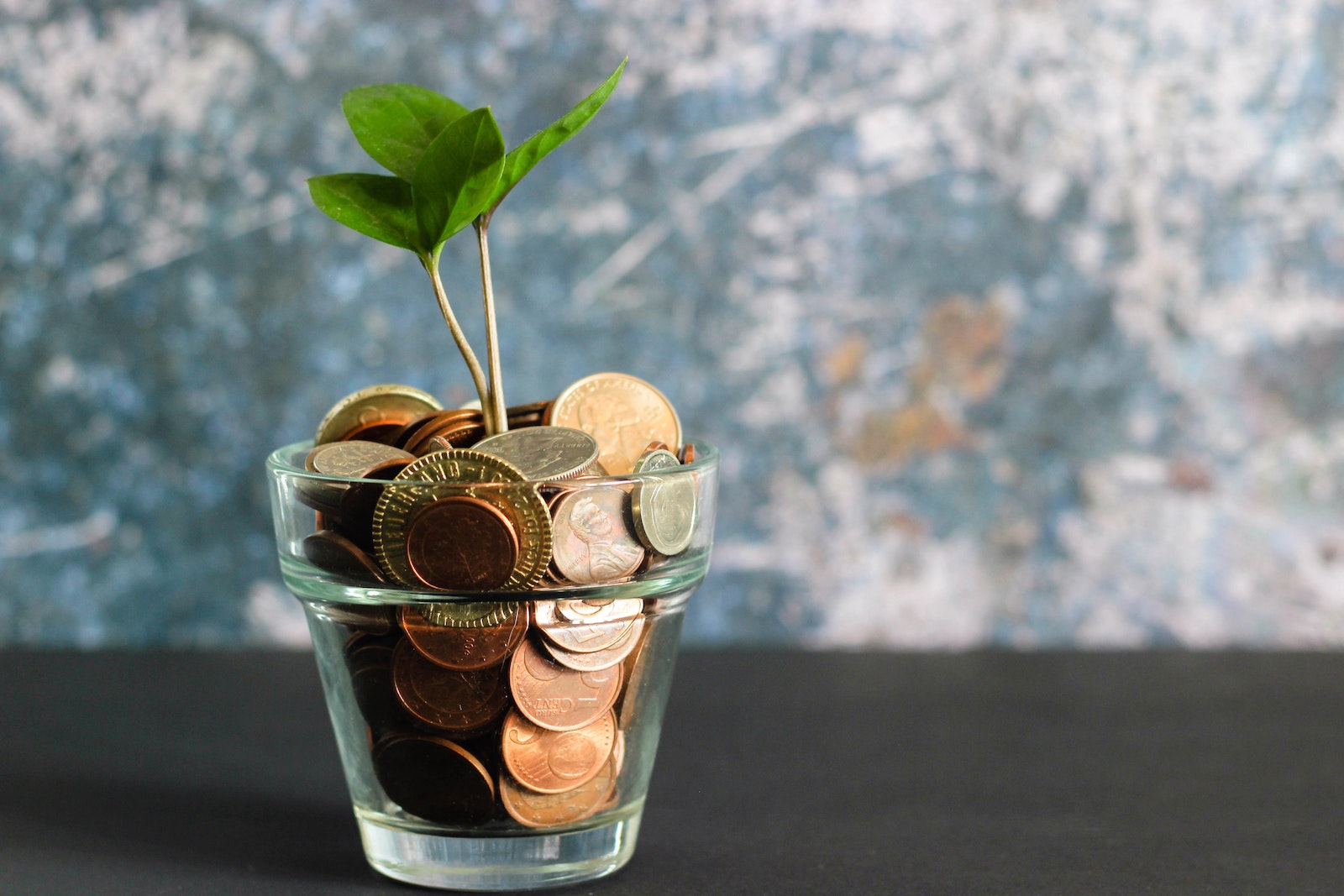 Make a statement with your money: Green Investing 101