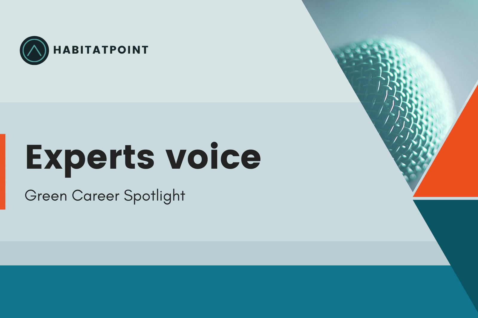 Experts voice: top skills to be successful at your green job (v. 1)