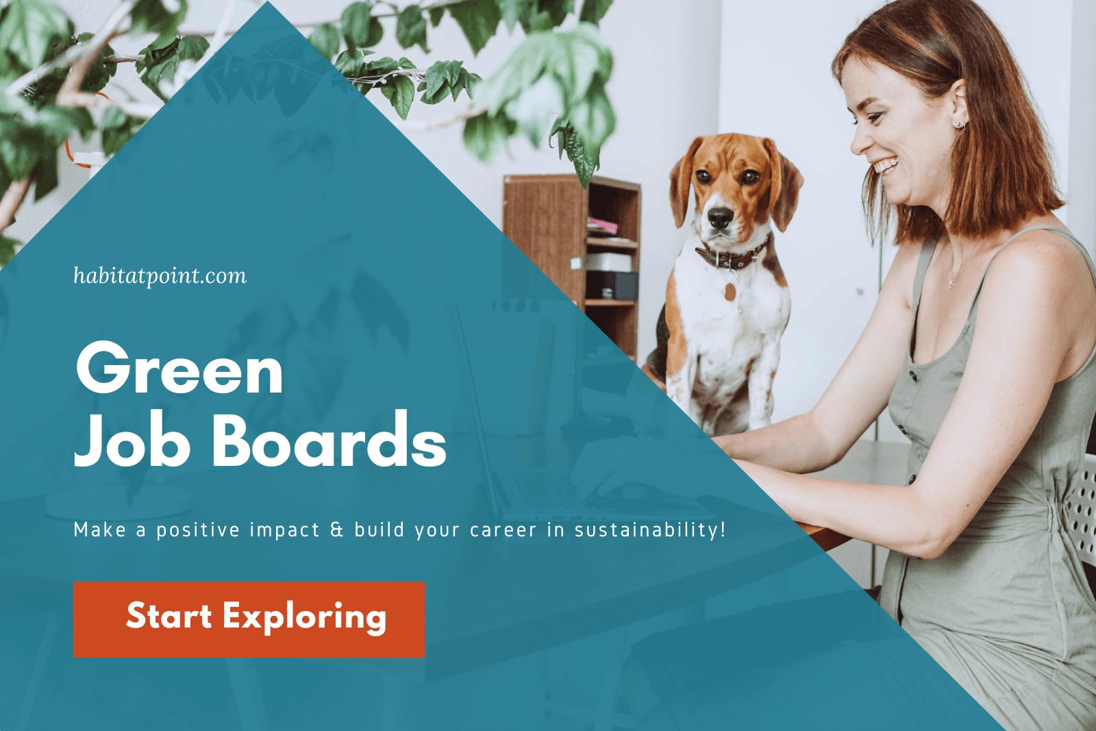 Top environmental and sustainability job boards