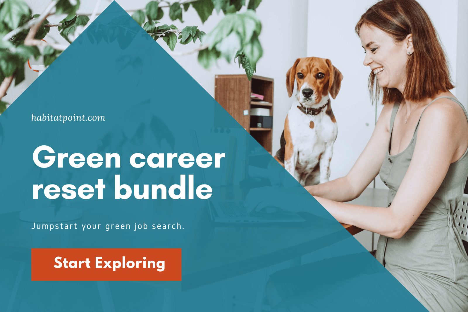 Green Career Reset Bundle