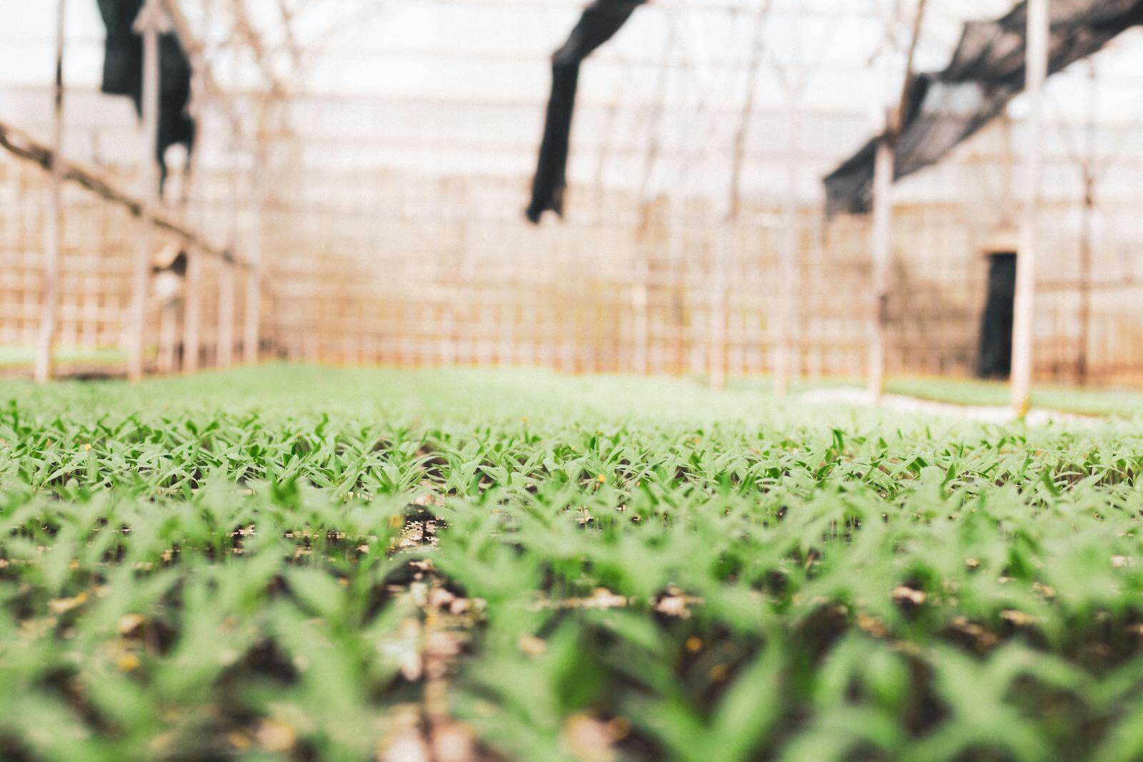 Sustainable solutions for modern farms: exploring eco-friendly ...