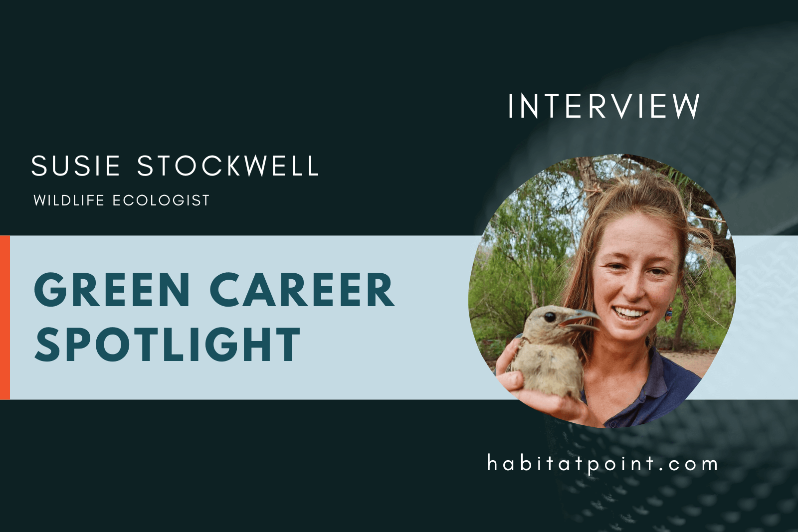 Green career spotlight: Susie Stockwell